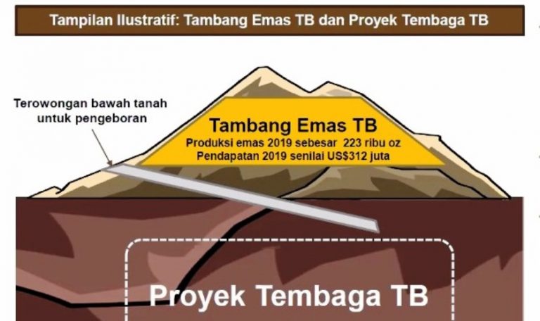 Ini Update Insiden di Tambang Tujuh Bukit • Petrominer